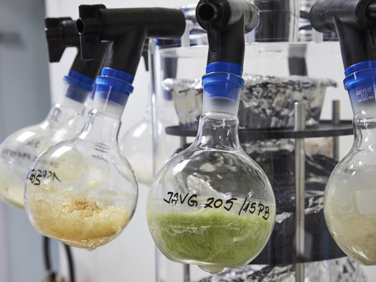 Olmix takes lead in certification – Agri-hub